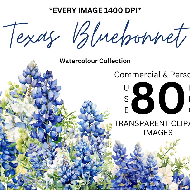 Texas Bluebonnets Svg - Etsy