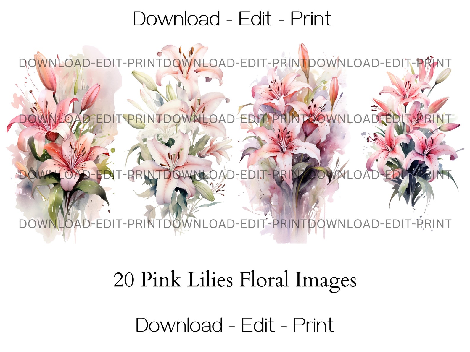 Pink Lilies Floral Clipart Bundle Commercial Use Transparent PNG ...