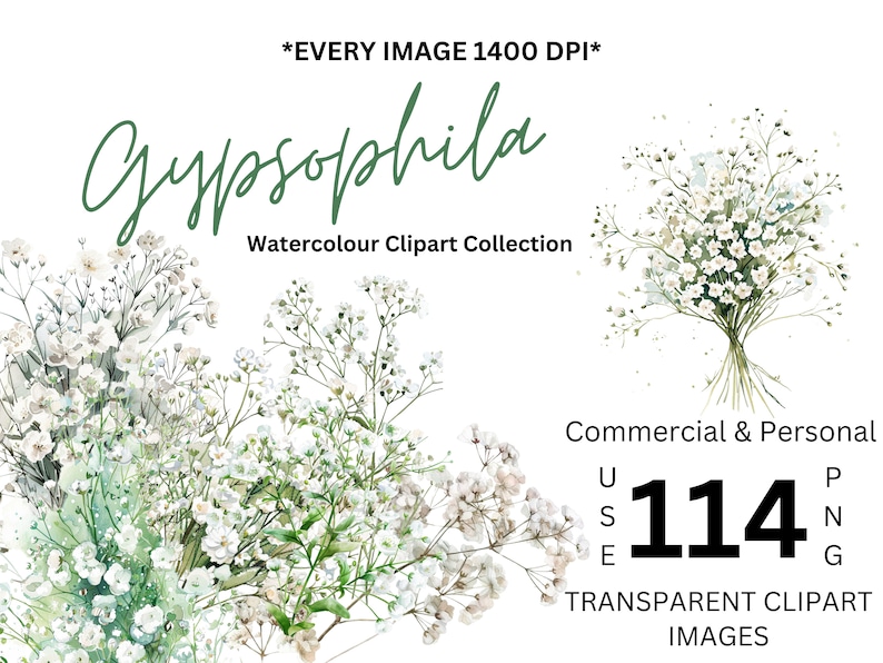 Gypsophila Flower Babys Breath Bouquet Transparent PNG Art Wedding ...