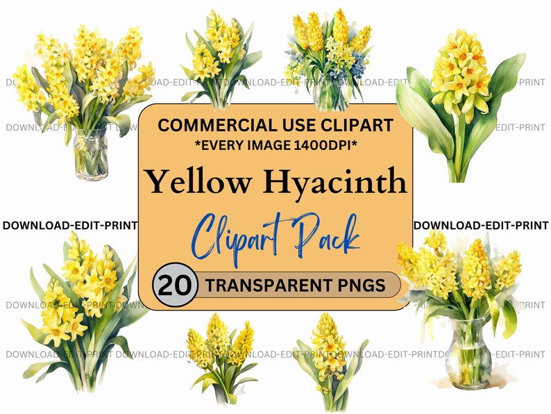 Yellow Hyacinth Floral Clipart Bundle Commercial Use Transparent PNG ...