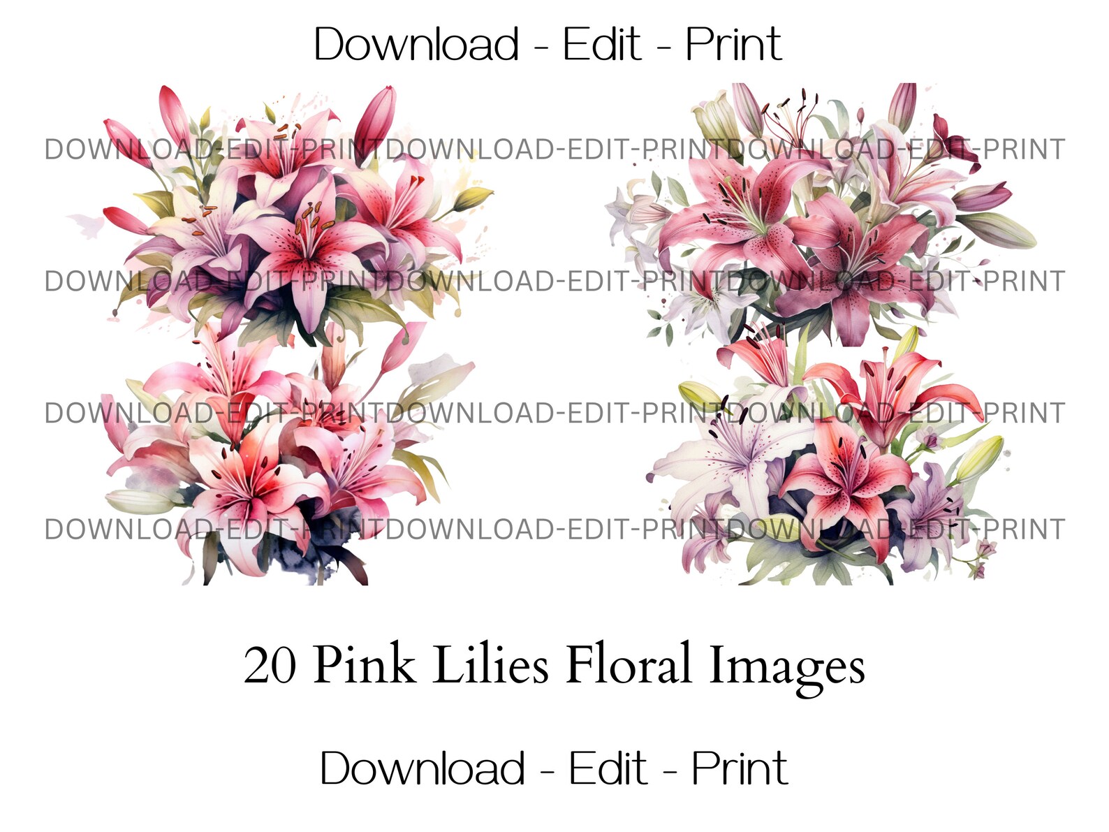 Pink Lilies Floral Clipart Bundle Commercial Use Transparent PNG ...