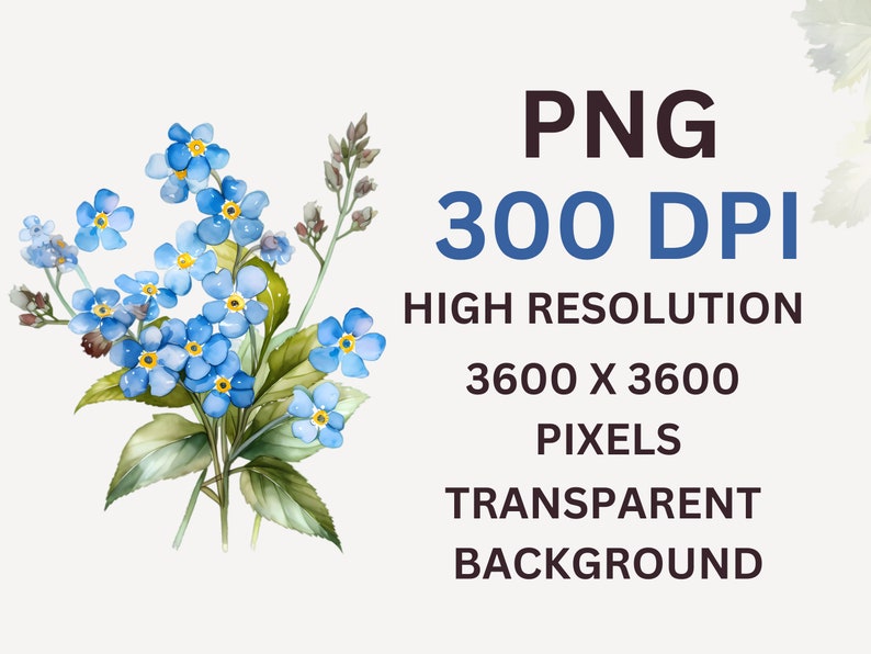 Watercolor Forget Me Nots Clipart, 20 Floral PNG Bundle, Blue Flower ...