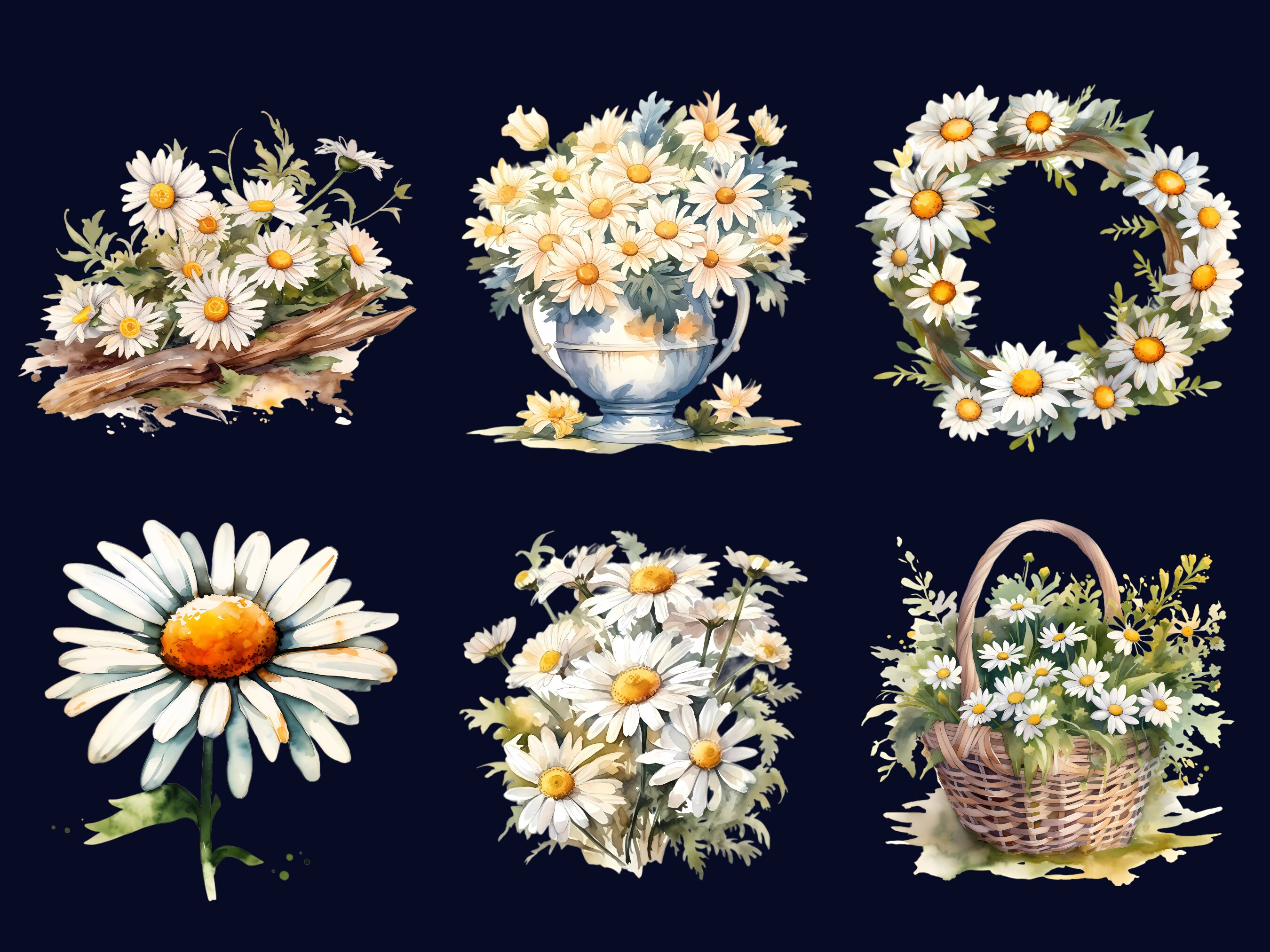 55 Watercolor Daisies Clipart, Daisies Floral Bouquets, Quality Floral ...