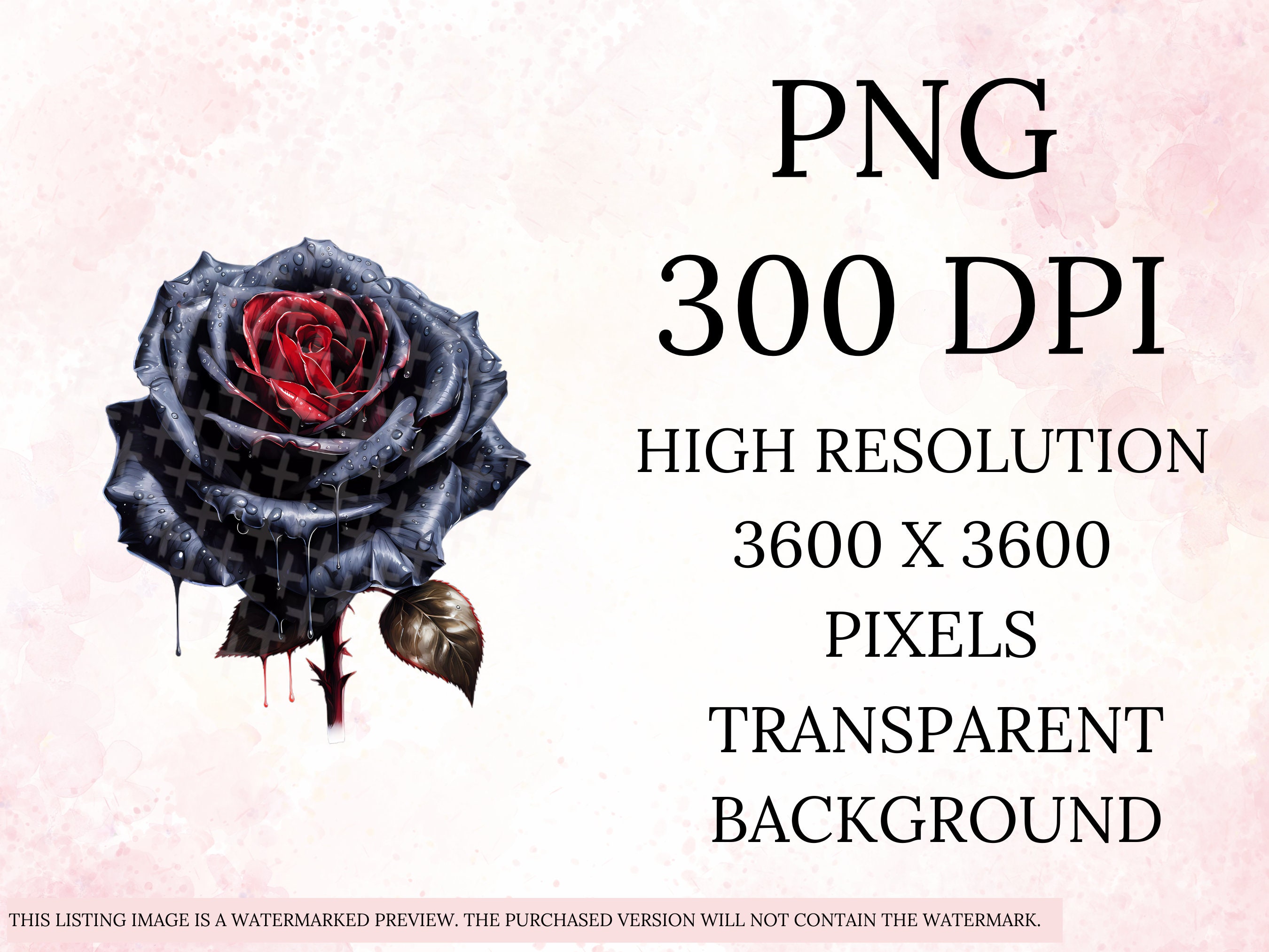 Watercolour Black Roses Clipart, Gothic Floral Clipart, Transparent ...