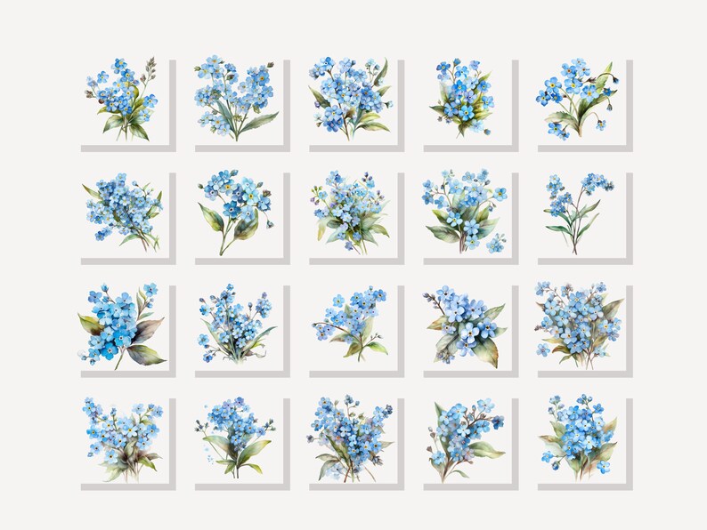 Watercolor Forget Me Nots Clipart, 20 Floral PNG Bundle, Blue Flower ...