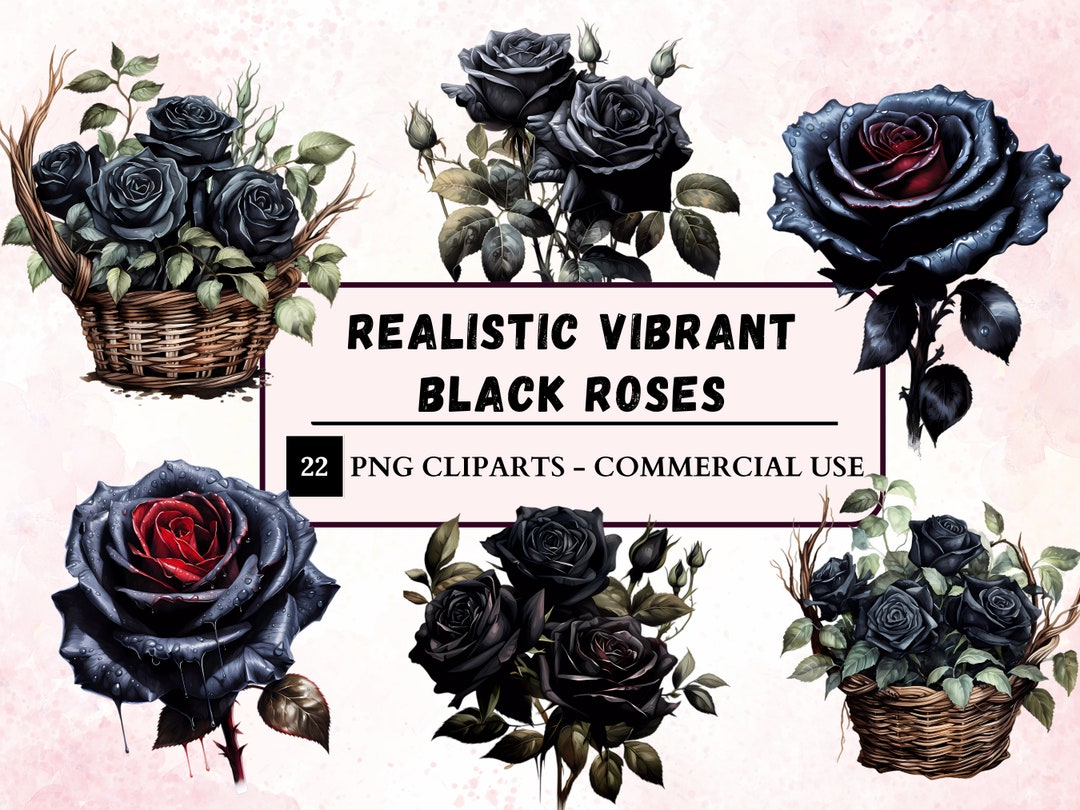Watercolour Black Roses Clipart, Gothic Floral Clipart, Transparent ...