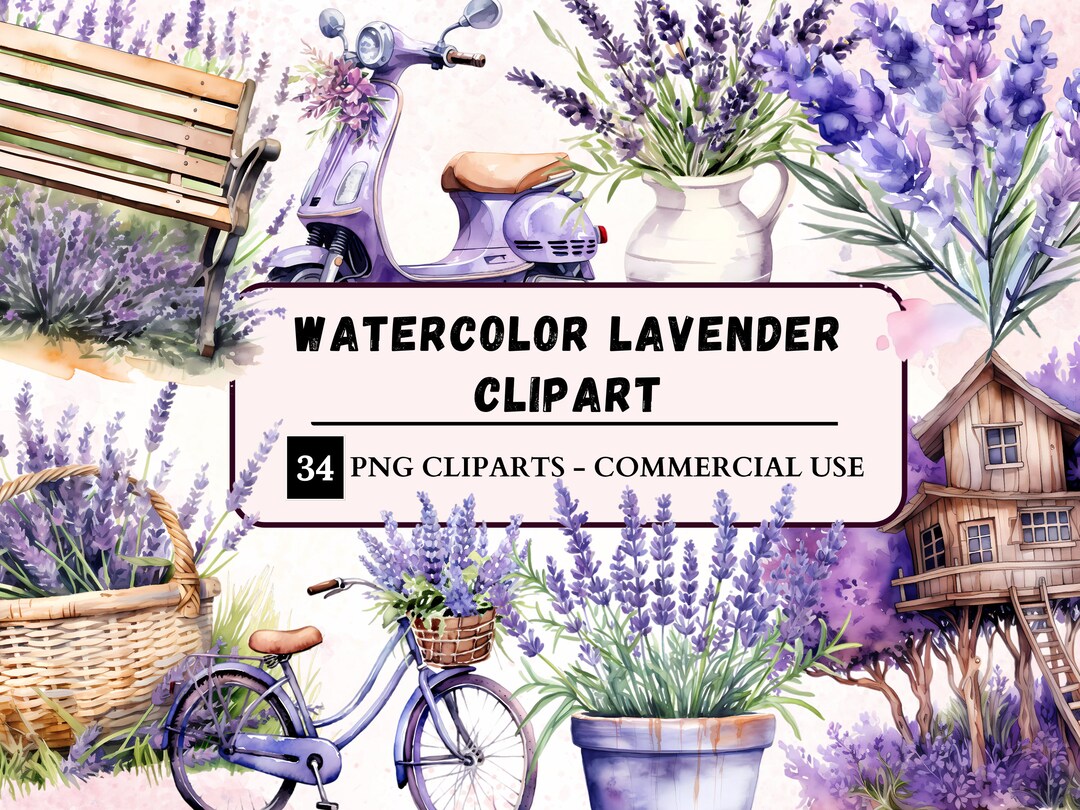 Watercolour Lavender Clipart, Provence Purple Floral Bundle PNG, Spring ...