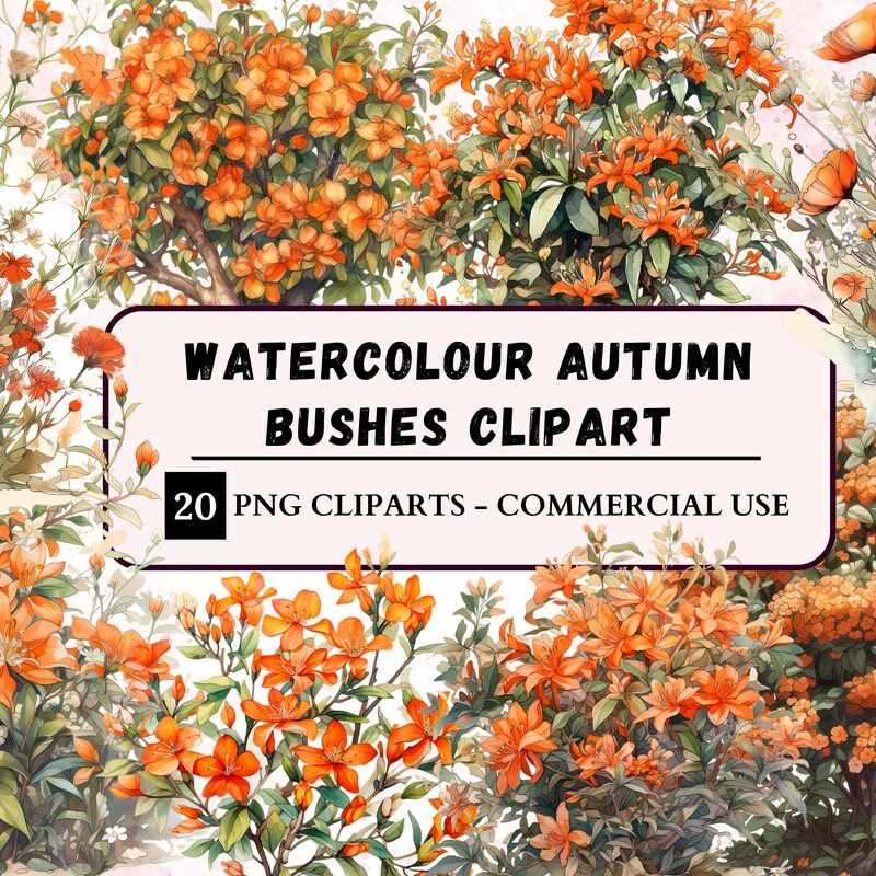 Rose Bushes Watercolor - Etsy