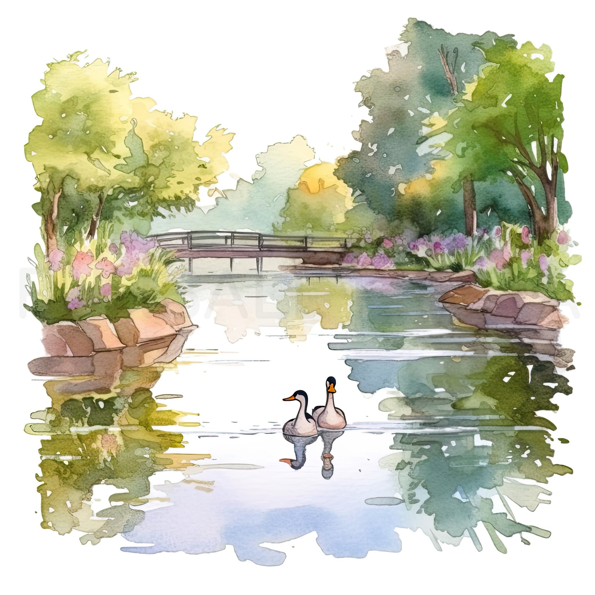 Duck Pond Clipart, 12 High Quality Jpgs, Printable Watercolor Wall Art ...