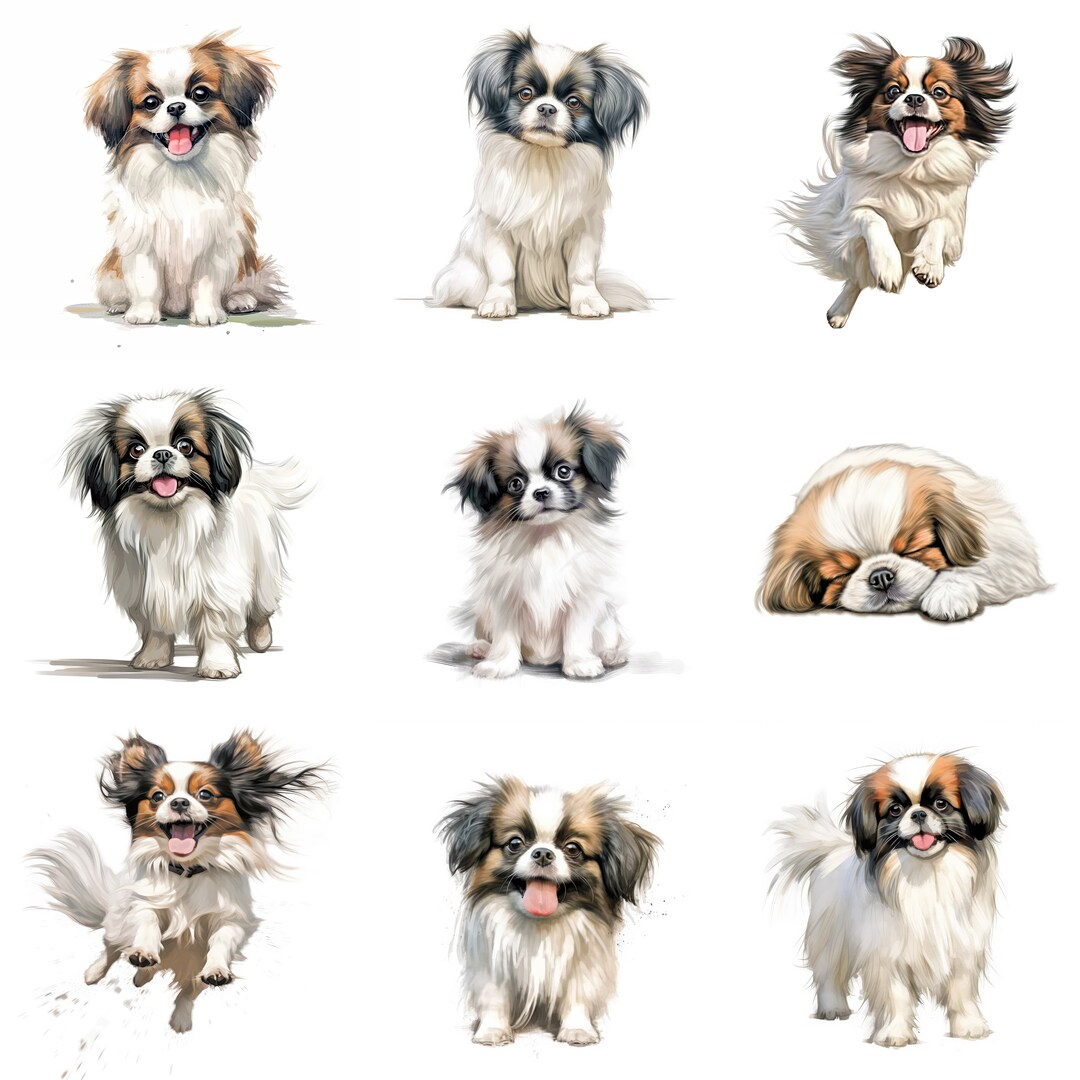 Japanese Chin Puppy Printable Dog Art, 17 High Quality JPG, PNG ...