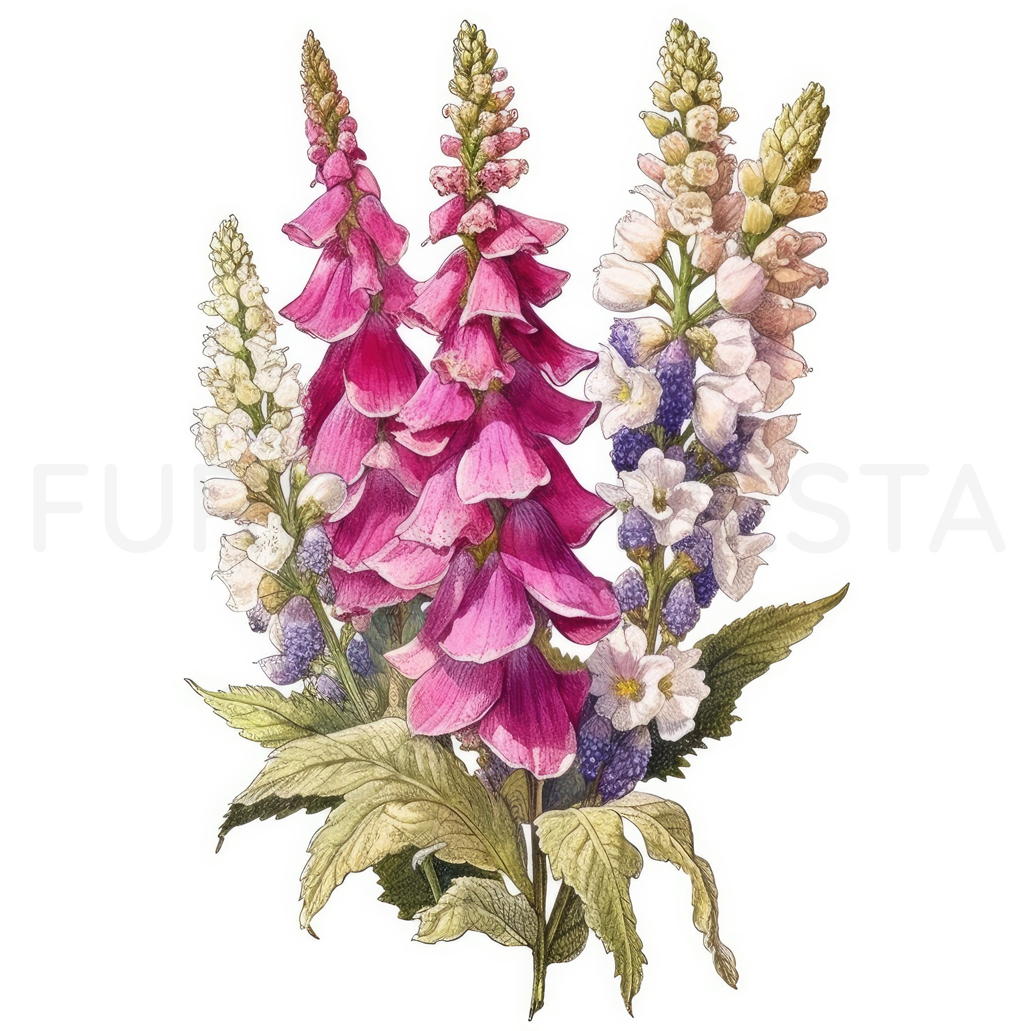 Foxglove Printable Flower Art, 10 High Quality Jpgs, Watercolor Flower ...