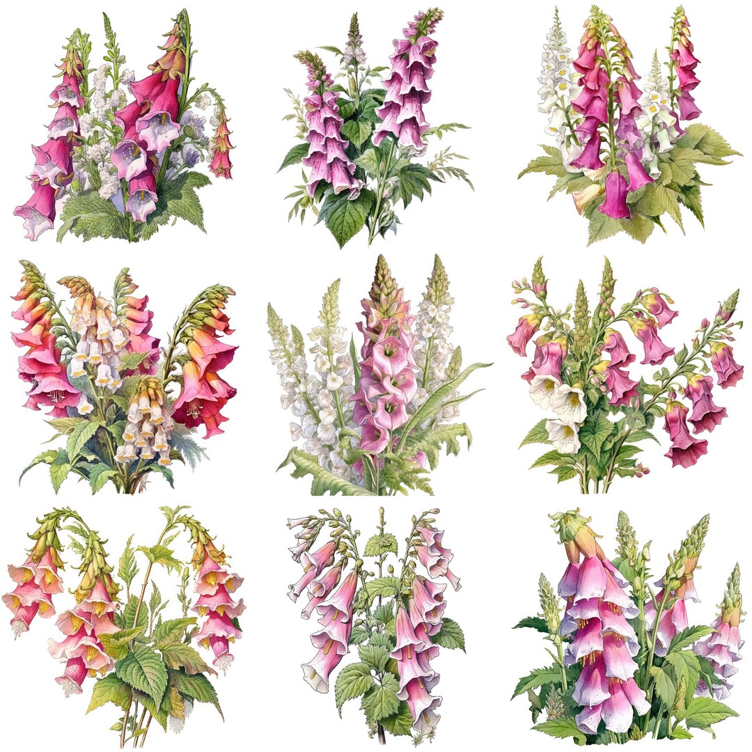 Foxglove Printable Flower Art Set 2, 10 High Quality Jpgs, Watercolor ...