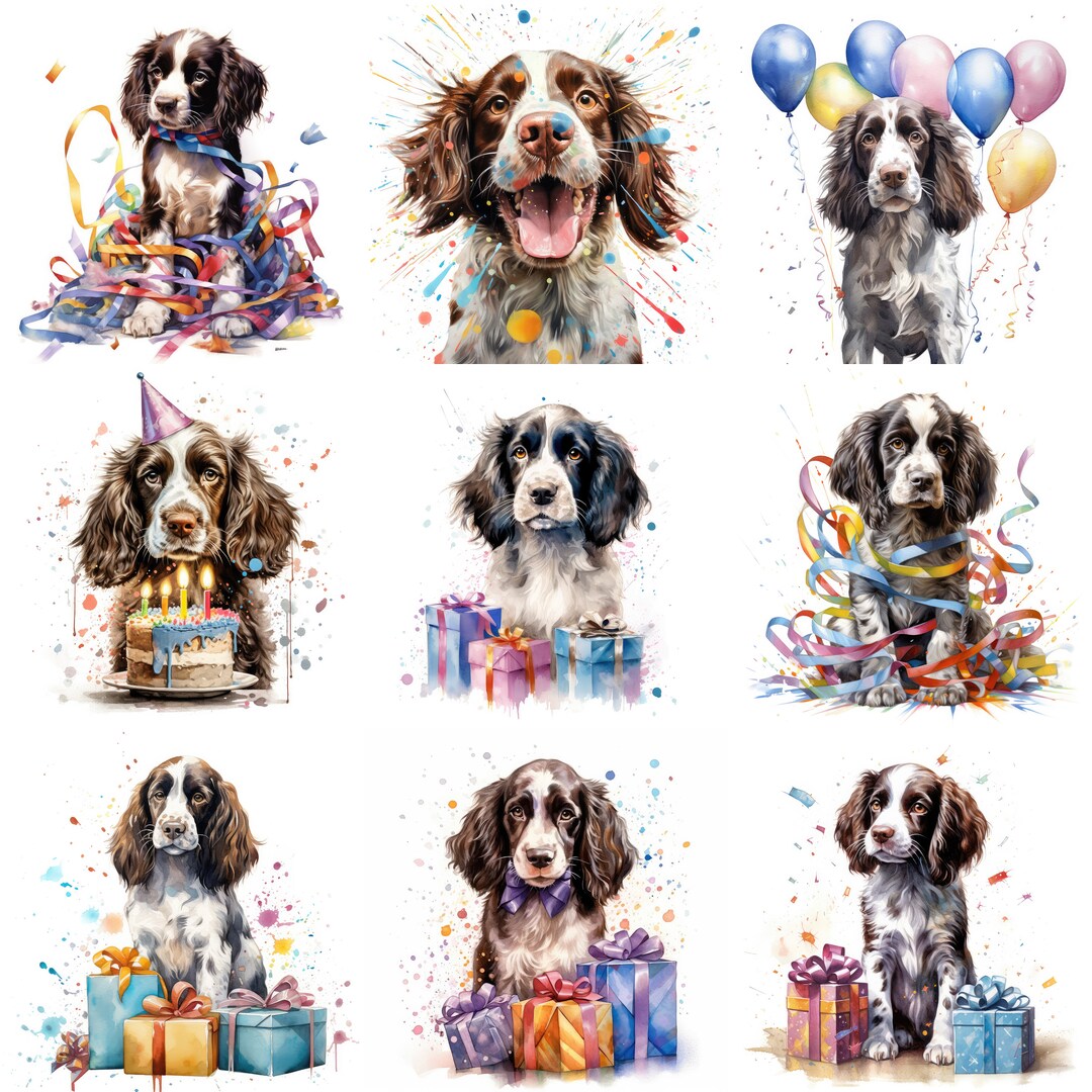 English Springer Spaniel Puppy Clipart, 16 High-quality Jpgs ...