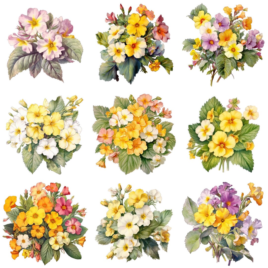 Primrose Printable Flower Art Set 2, 10 High Quality Jpgs, Watercolor ...