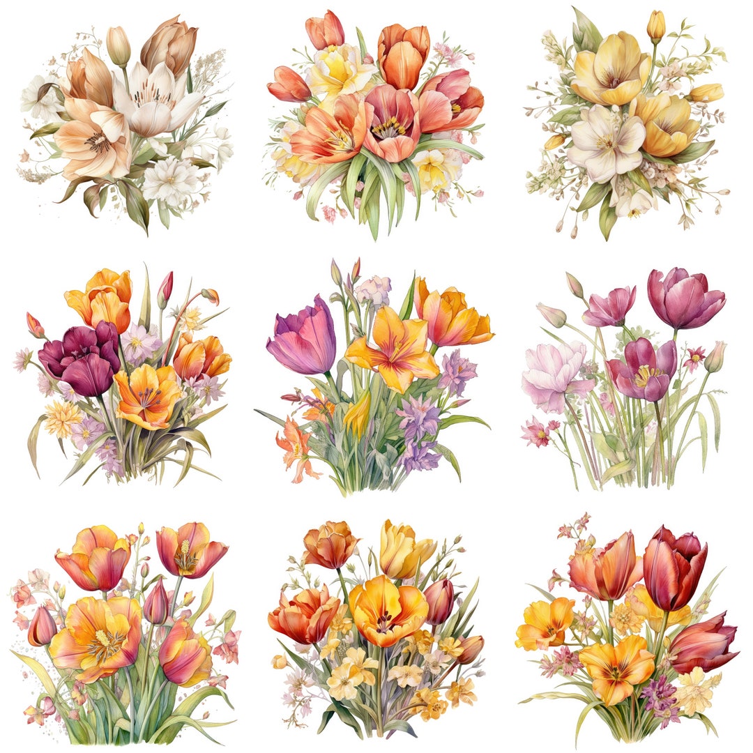 Tulip Printable Flower Art, 12 High Quality Jpgs, Watercolor Flower ...