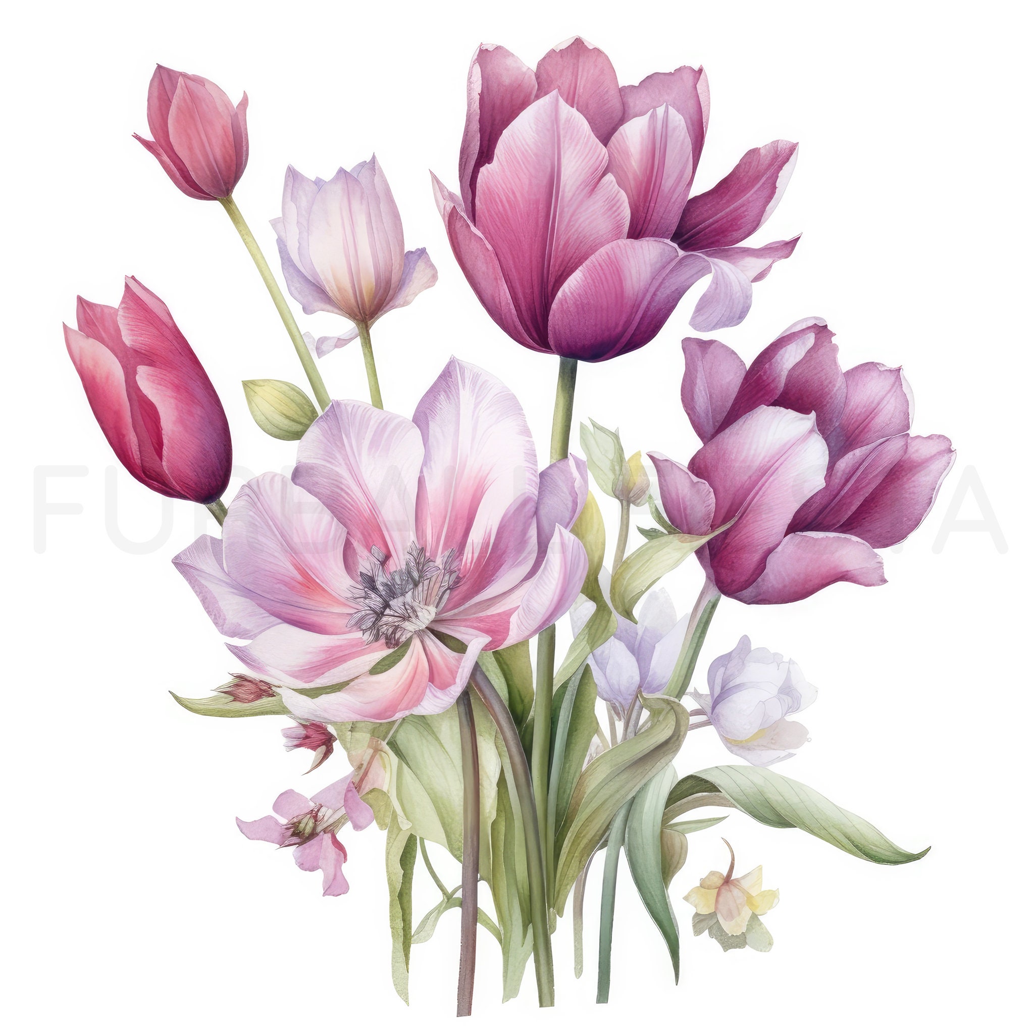 Tulip Printable Flower Art Set 2 12 High Quality Jpgs - Etsy
