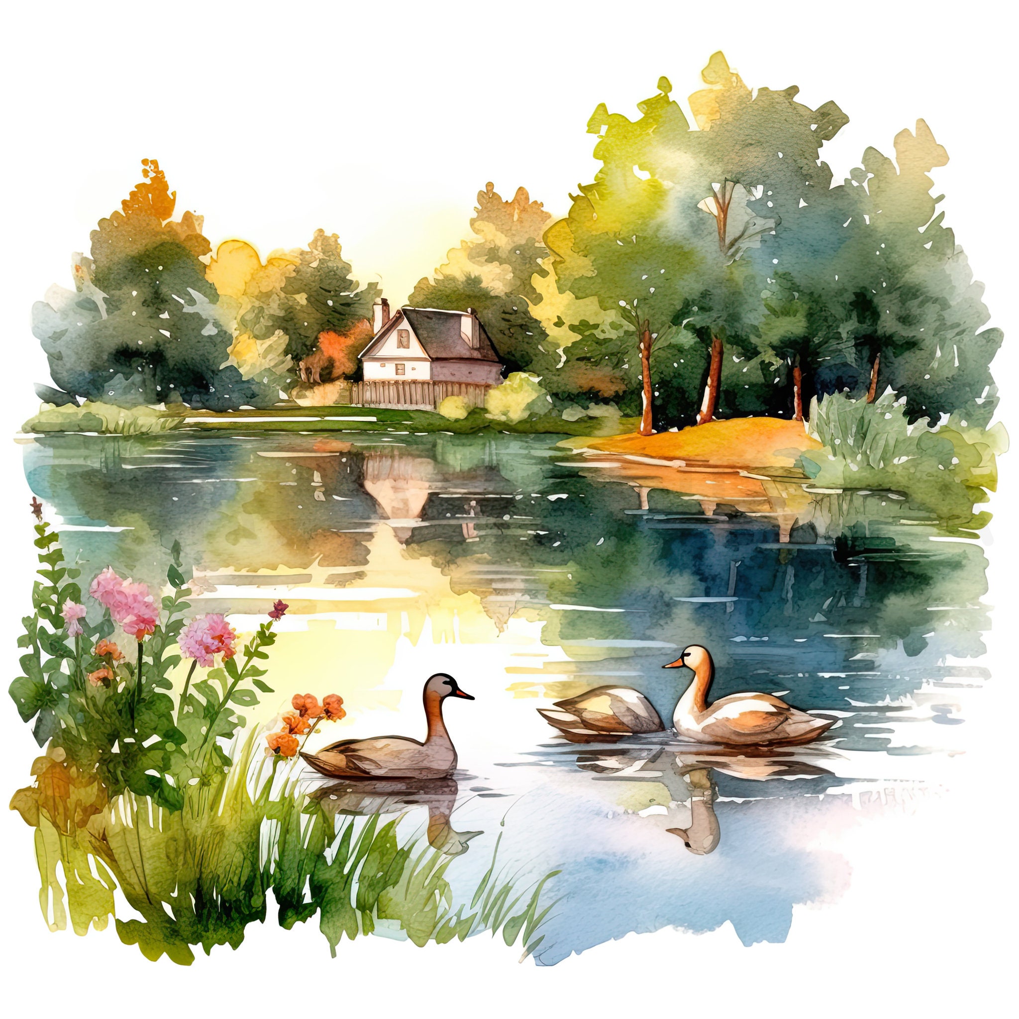 Duck Pond Clipart, 12 High Quality Jpgs, Printable Watercolor Wall Art ...