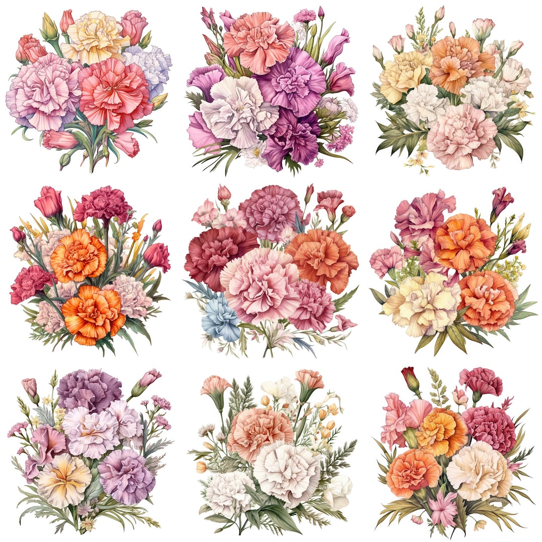 Carnation Printable Flower Art, 10 High Quality Jpgs, Watercolor Flower ...