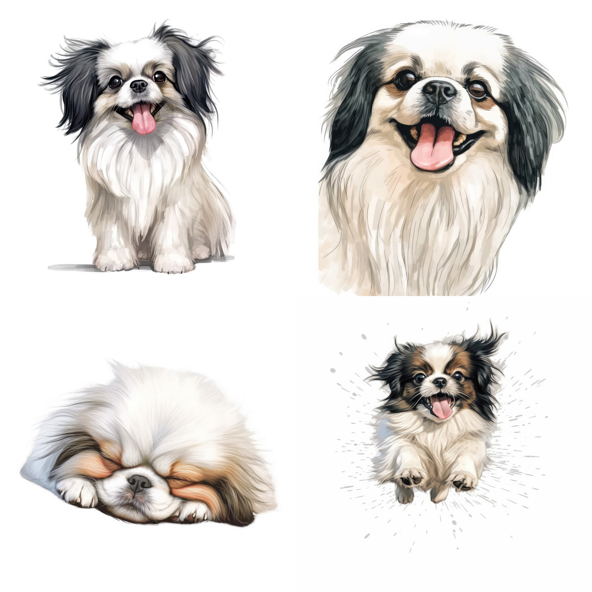 Japanese Chin Puppy Printable Dog Art, 17 High Quality JPG, PNG ...