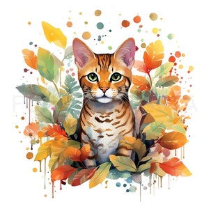 Ocicat Cat Watercolor Clipart 21 High Quality Jpgs Wall Art, Card ...