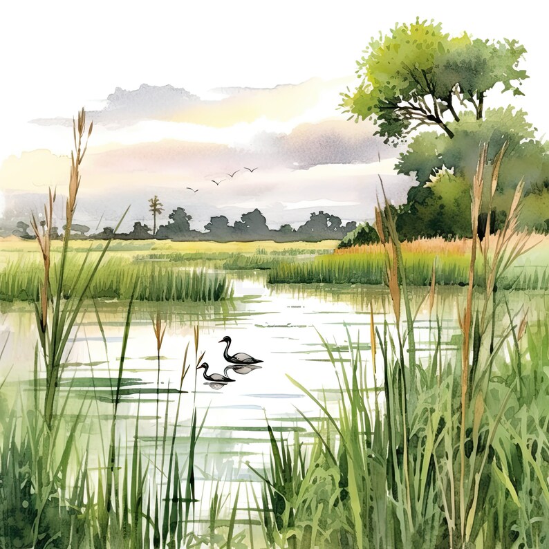 Cattail Marsh Clipart, 12 High Quality Jpgs, Junk Journal, Printable ...