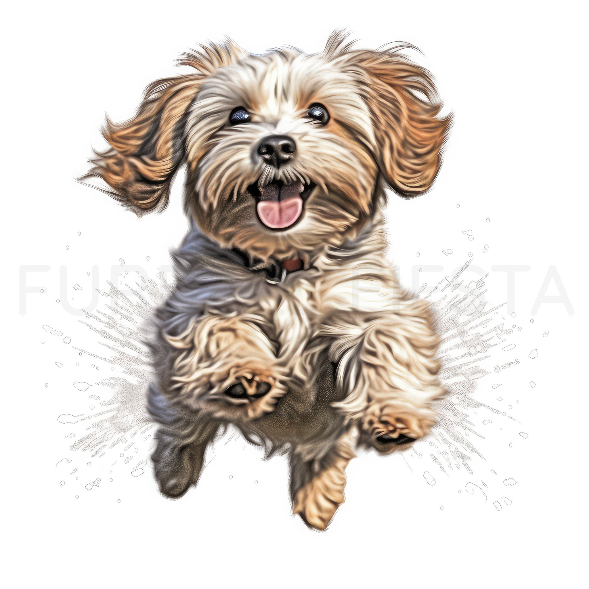 Havanese Puppy Printable Dog Art 14 High Quality Jpgs - Etsy