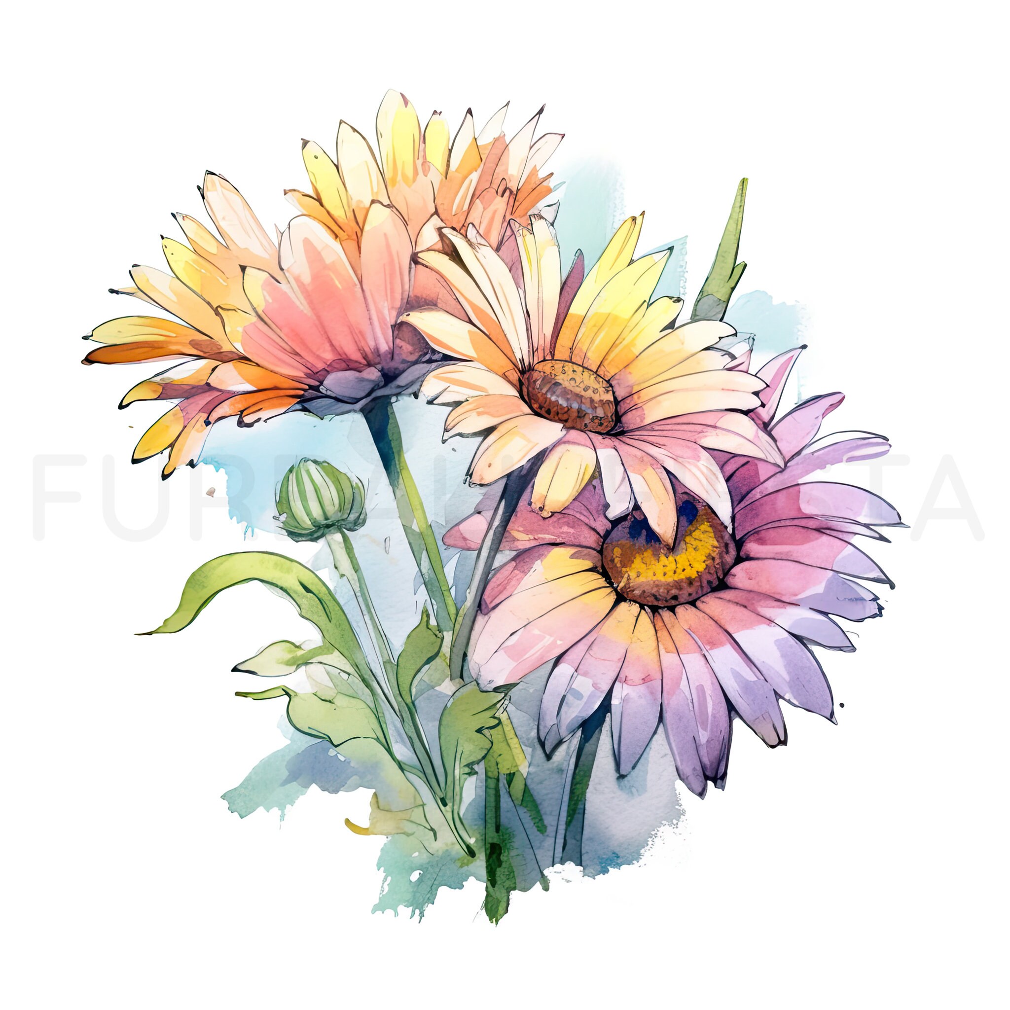 Colorful Daisies Clipart Bundle, 13 High Quality PNG Images ...