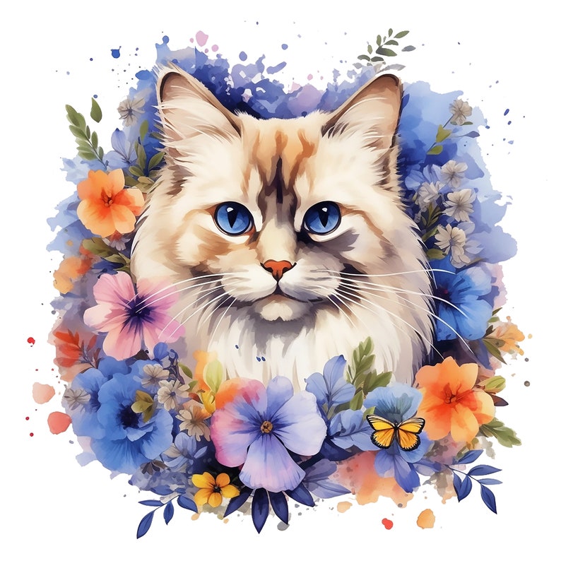 Ragdoll Cat Watercolor Clipart 14 High Quality Jpgs Card Making ...