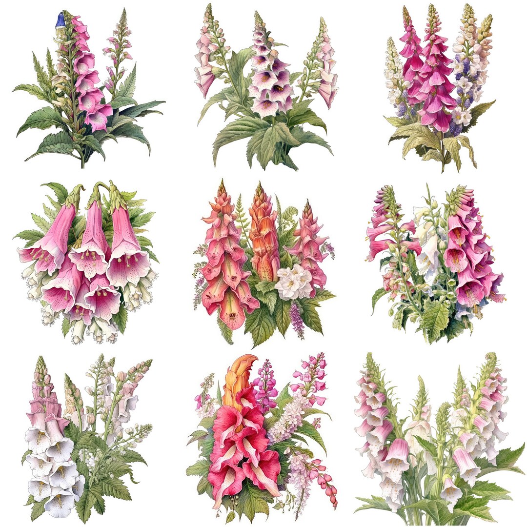 Foxglove Printable Flower Art, 10 High Quality Jpgs, Watercolor Flower ...