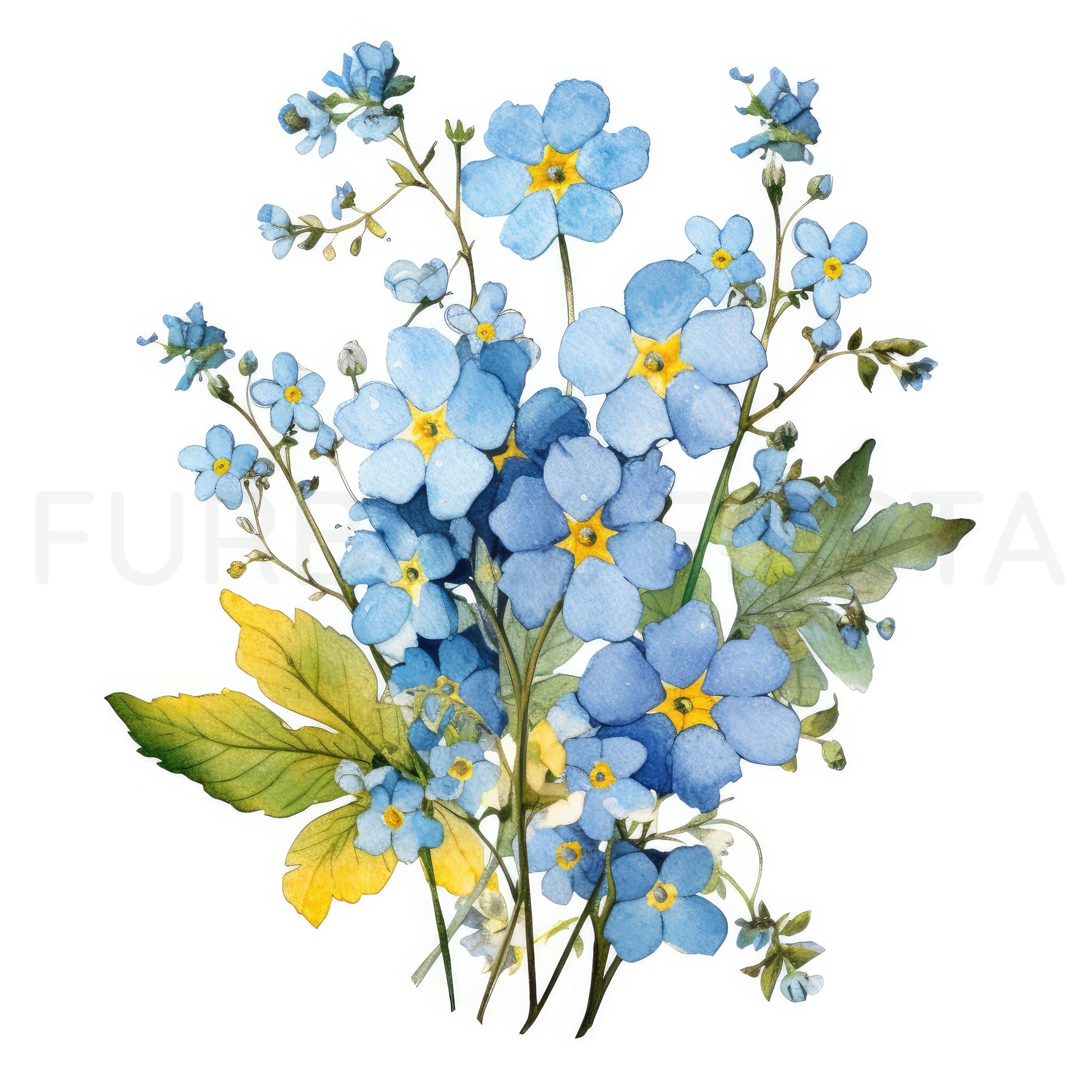 Forget-me-not Printable Flower Art Set 2, 10 High Quality Jpgs ...