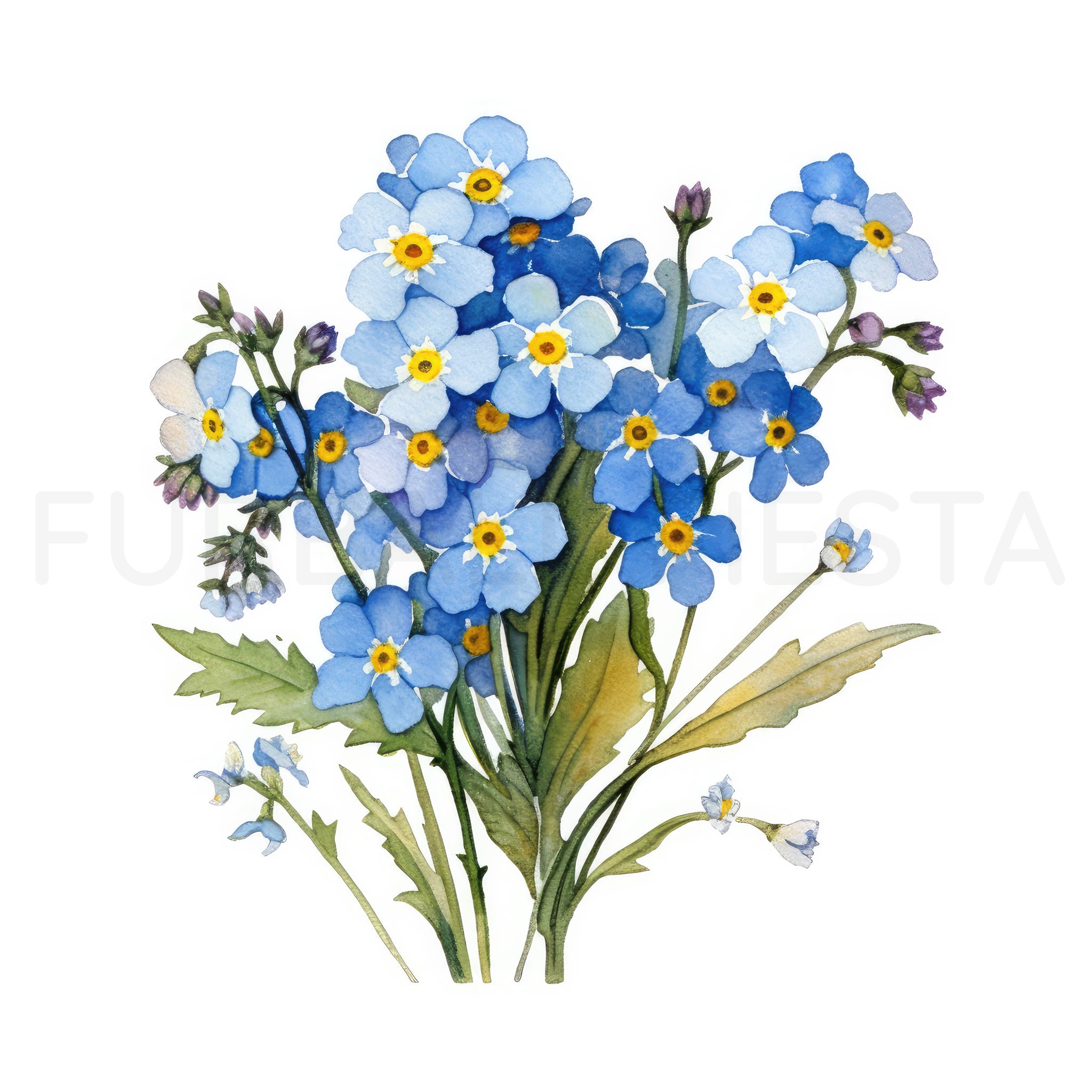 Forget-me-not Printable Flower Art Set 2 10 High Quality - Etsy