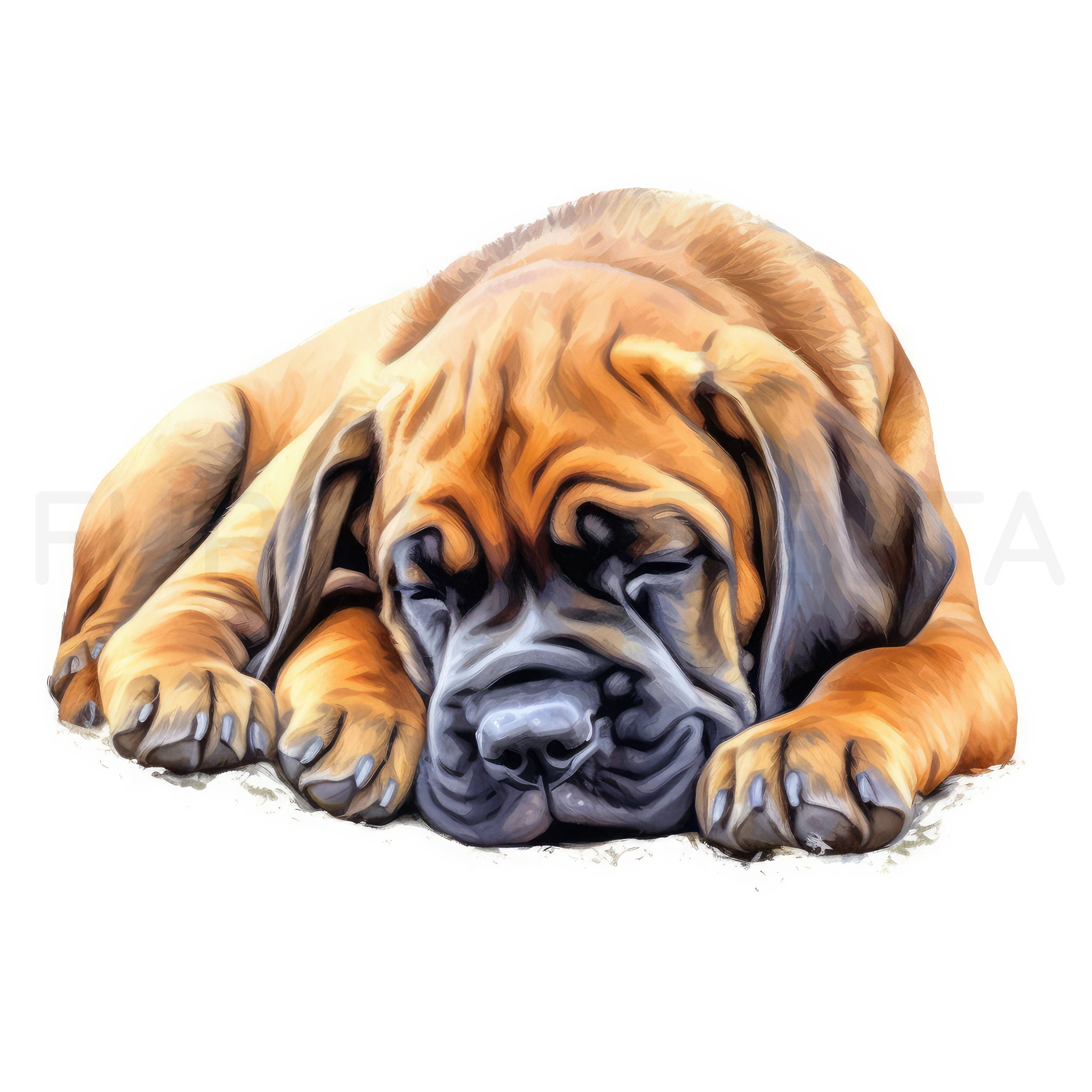 Bullmastiff Puppy Clipart, 13 High Quality JPG, PNG, Watercolor, Card ...