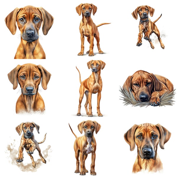Rhodesian Ridgeback - Etsy UK