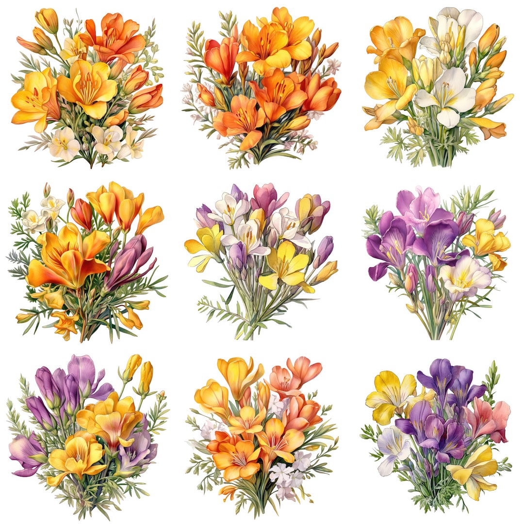 Freesia Printable Flower Art, 10 High Quality Jpgs, Watercolor Flower ...