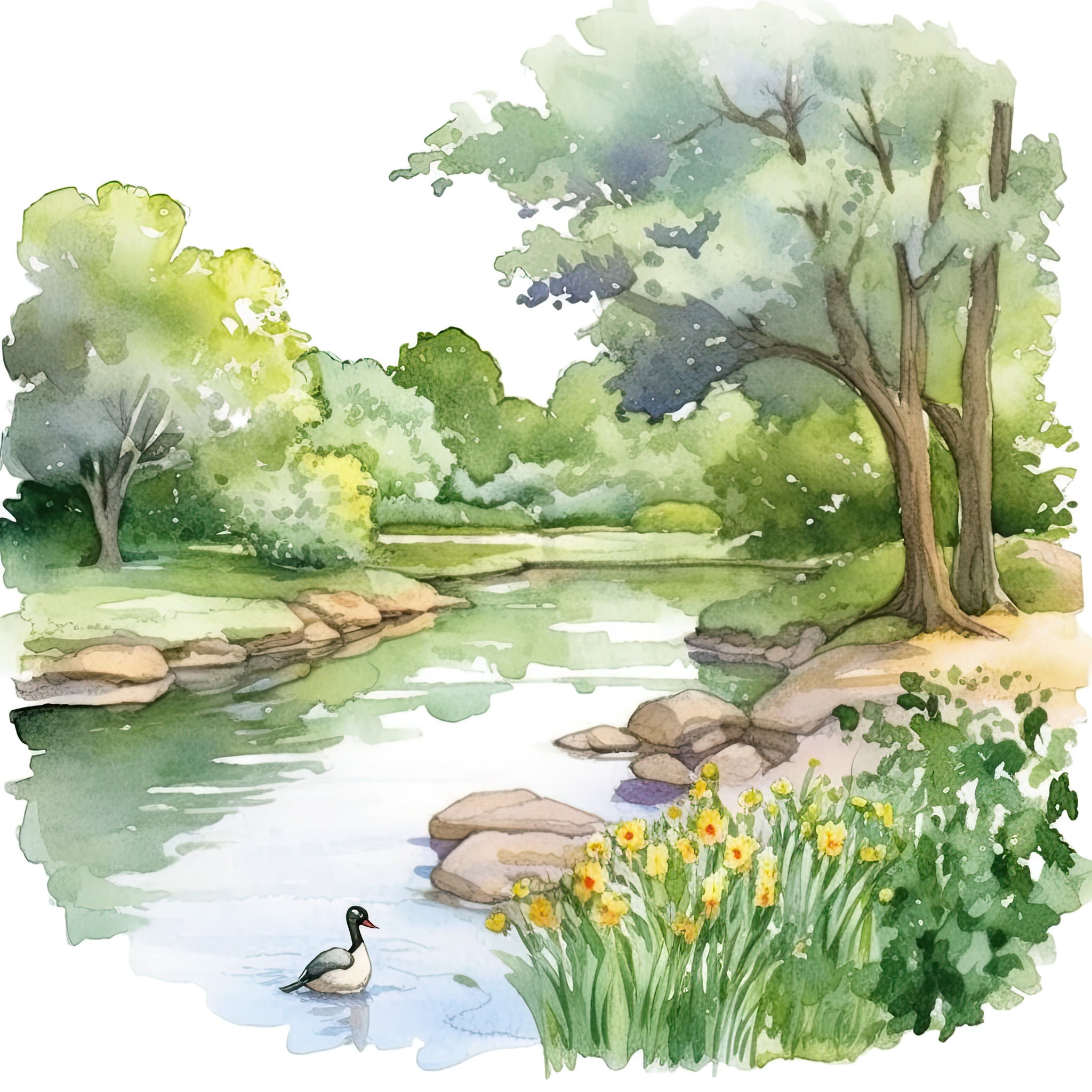 Duck Pond Clipart, 12 High Quality Jpgs, Printable Watercolor Wall Art ...