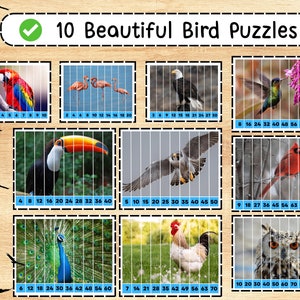 Printable Bird Theme Skip Counting Puzzle Times Table Education Game ...