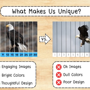 Printable Bird Theme Skip Counting Puzzle Times Table Education Game ...