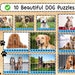 Printable Dog Theme Skip Counting Puzzle Times Table Education Game ...