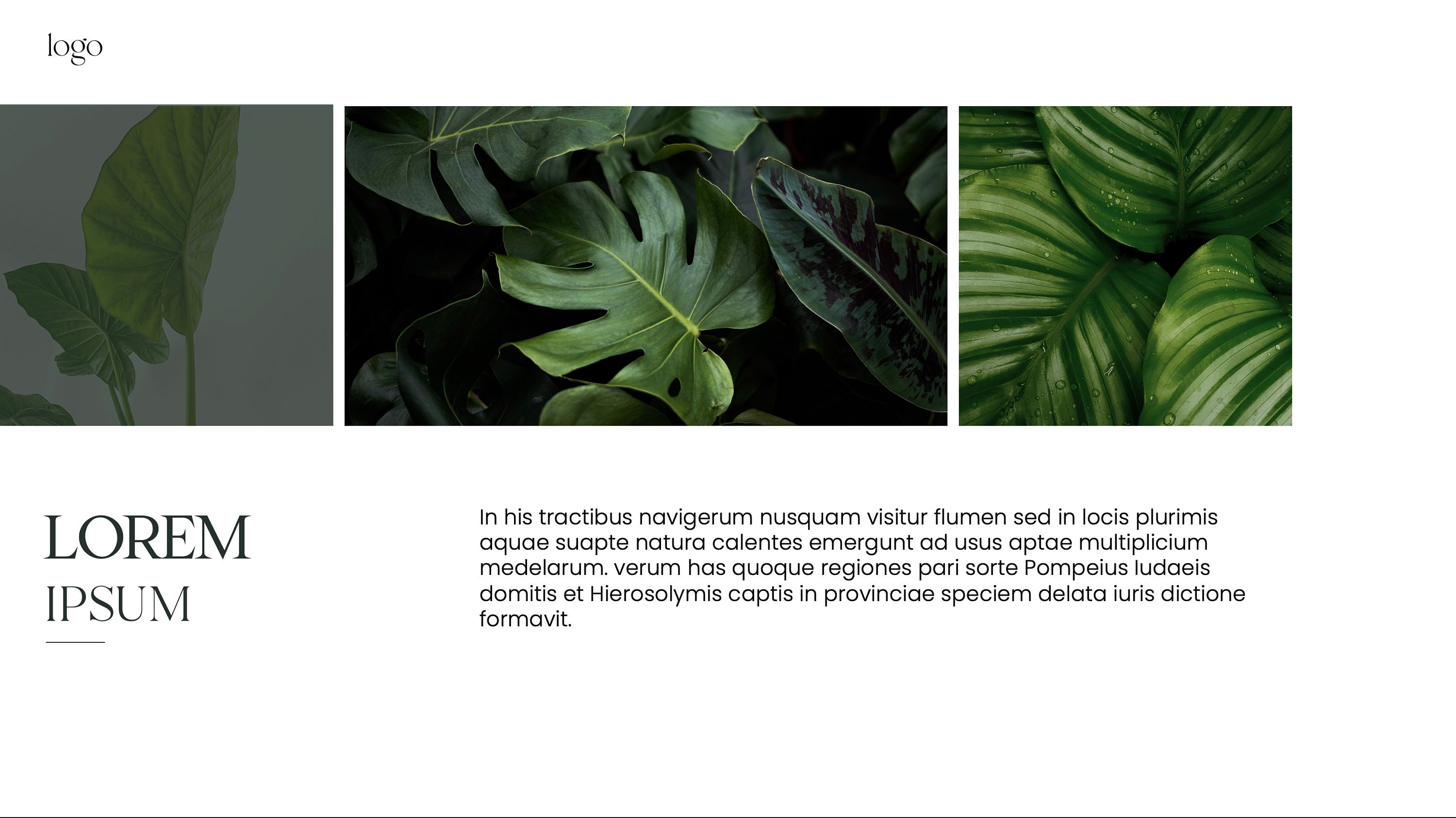 Modern & Elegant Green Powerpoint Template Customizable - Etsy