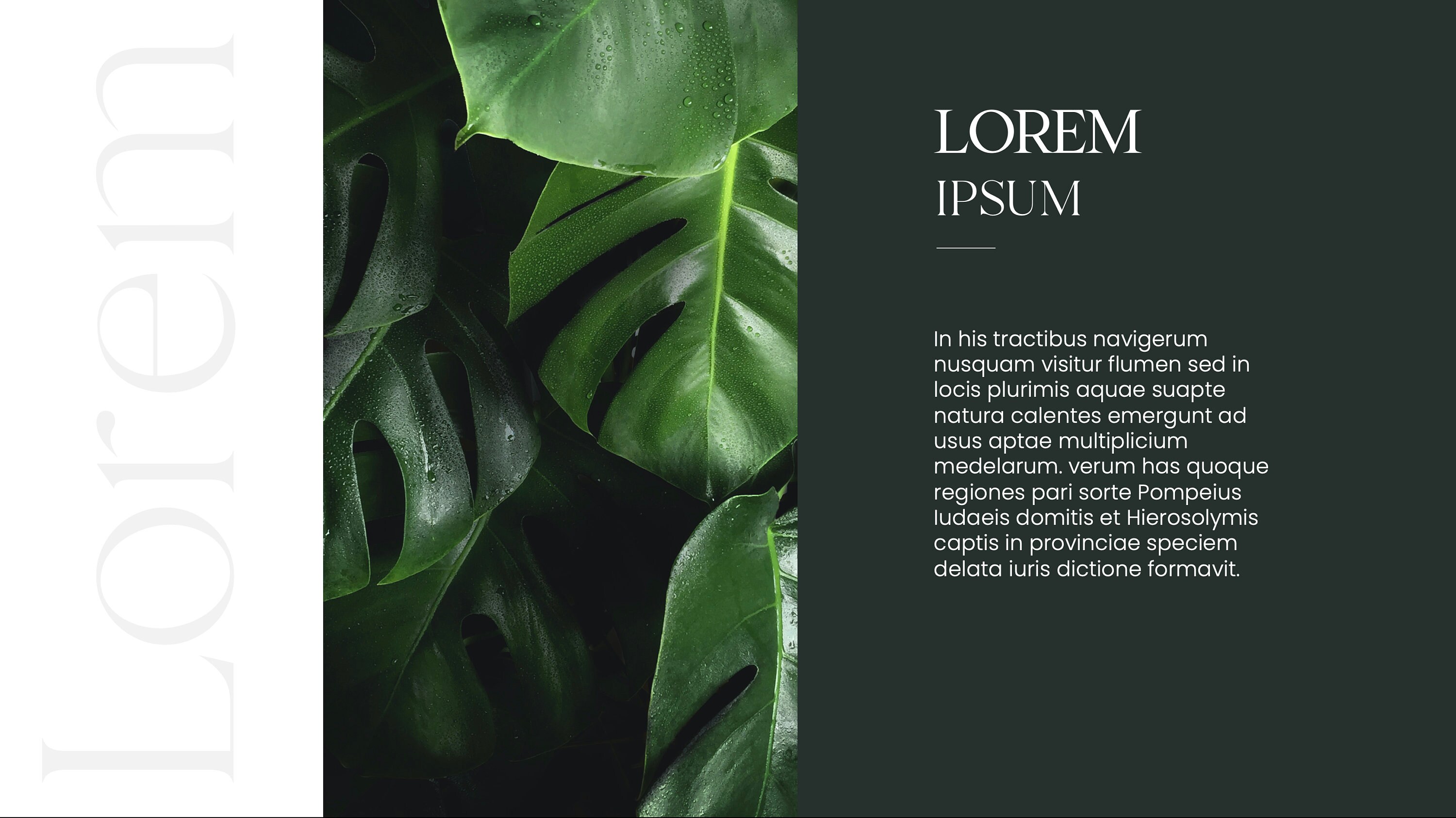 Modern & Elegant Green Powerpoint Template Customizable - Etsy