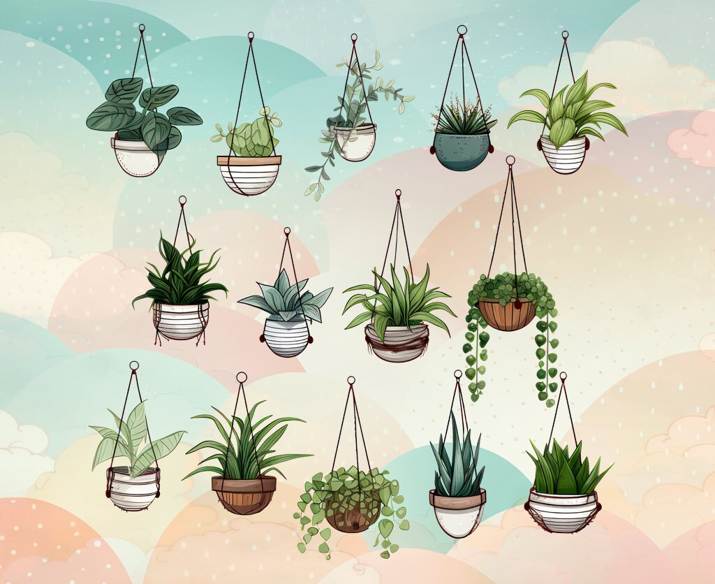 Hanging Plants Clipart | Potted Plants Clipart | Plant Clipart | 55 ...
