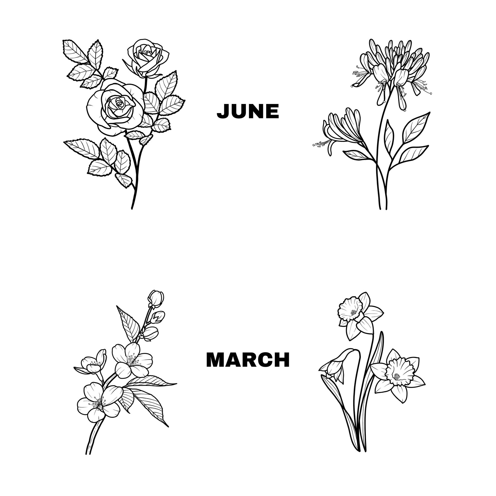 Birth Month Flower SVG Bundle: 24 Floral Designs (digital Download) - Etsy