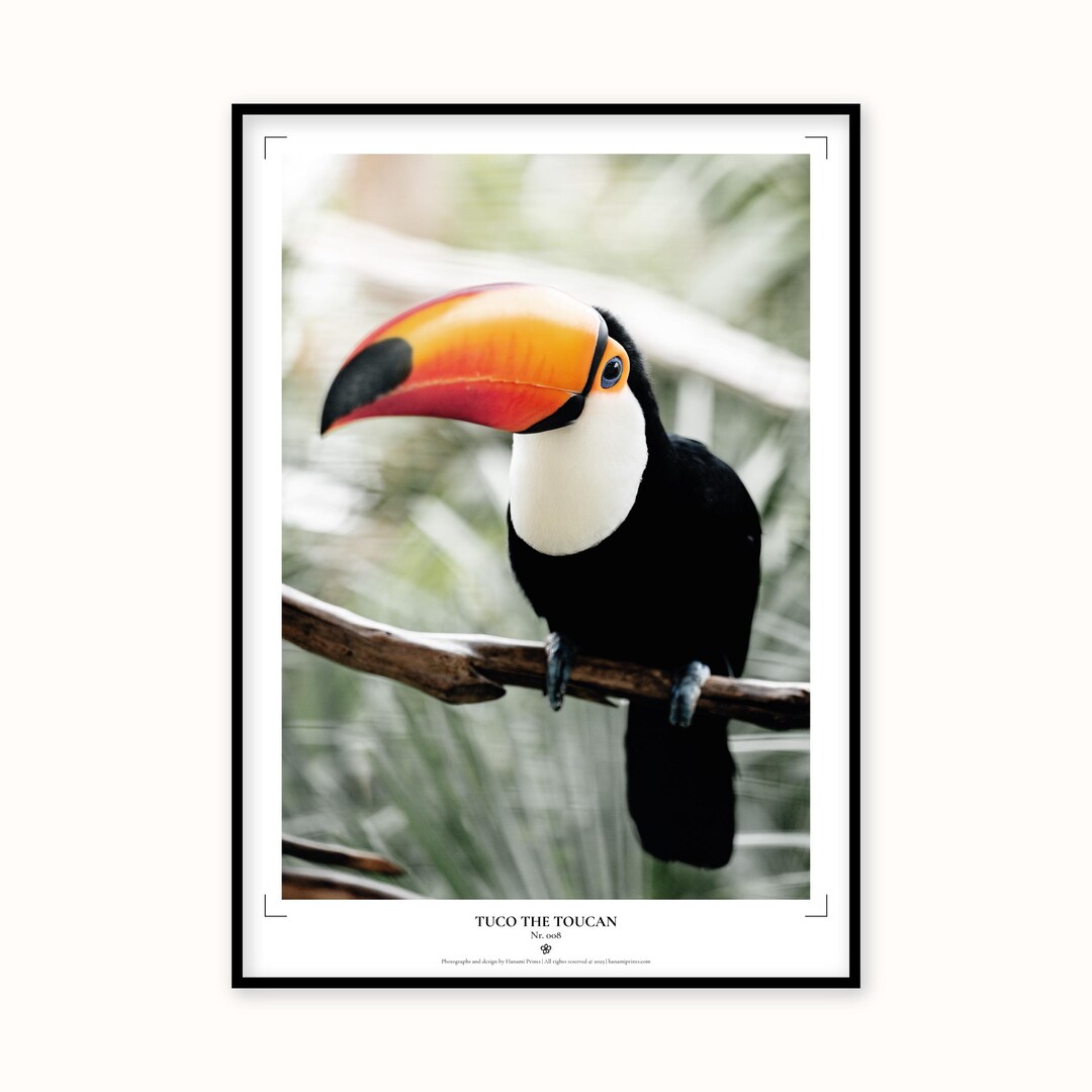 Tropical Bird Wall Art - Etsy