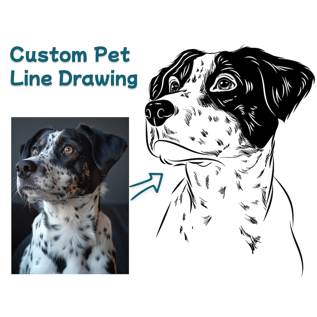 Custom Line Drawing Pet, Dog Sketch, Pet Outline Drawing, Dalmatian Dog ...
