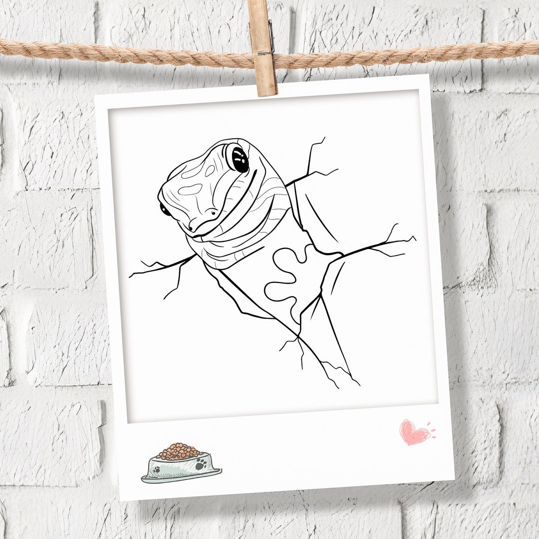 Custom Pet Illustration, Pet Line Drawing, Iguana Lizard Line Art ...