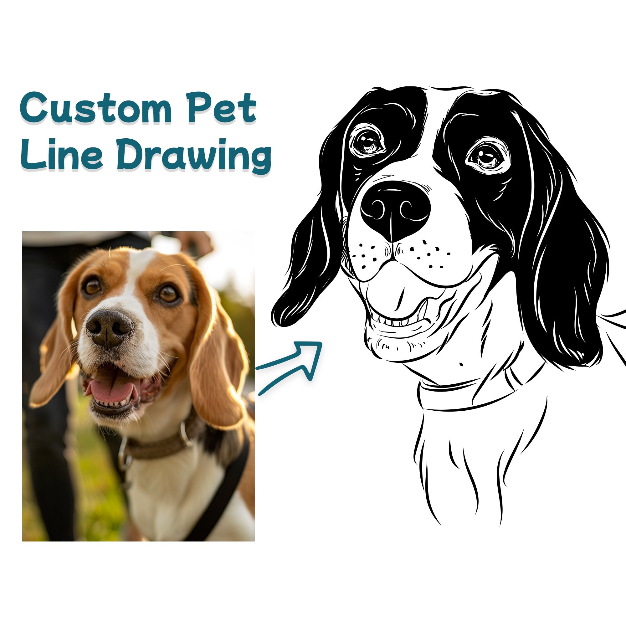Custom Line Drawing From Photo, Pet Line Art Sketch, Custom Pet Outline ...