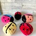 Ladybug No-sew Crochet Pattern Plush Ladybug Stuffed Animal Amigurumi ...