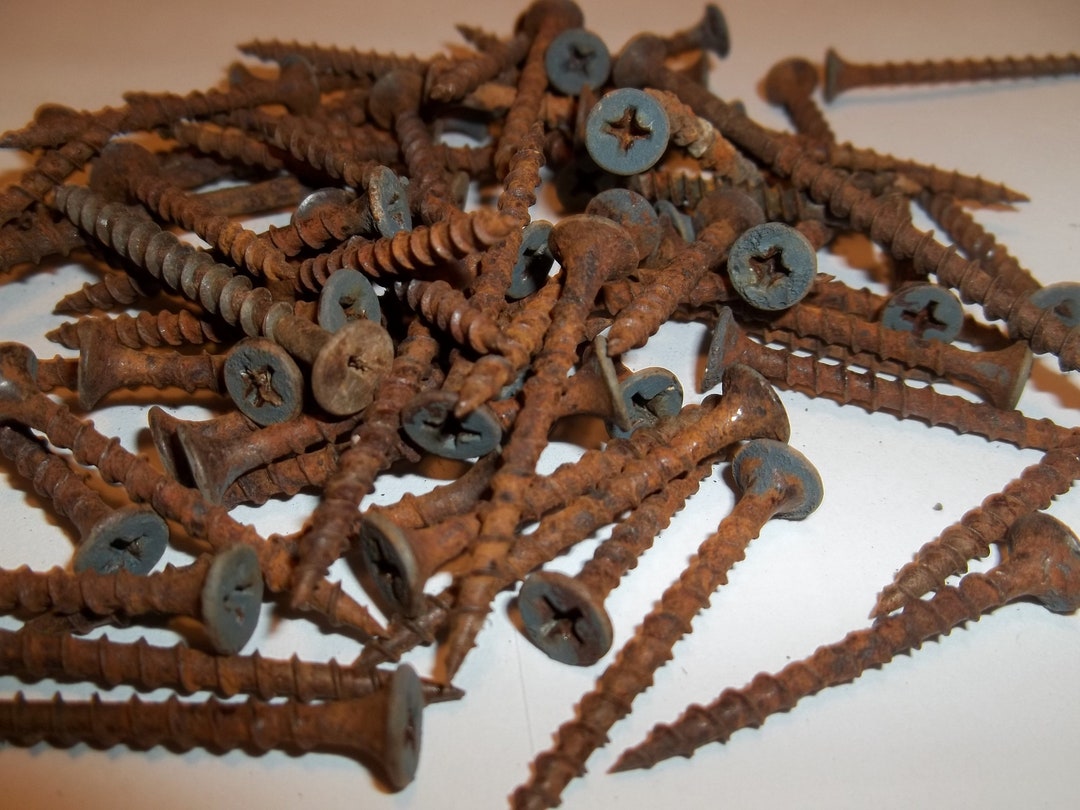 75 Rusty Metal Screws Found Objects Assemblage Altered Art Artist ...