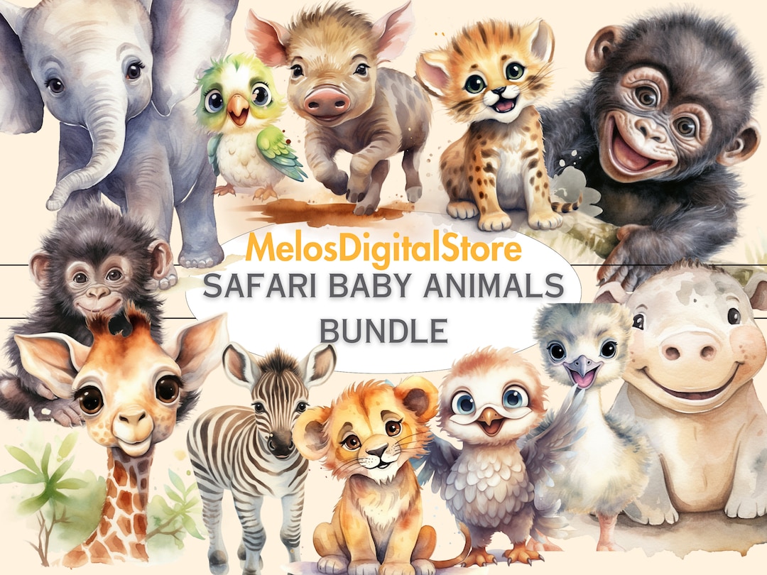 38 Watercolor Safari Baby Animals Watercolor Clipart, Pngs, Kids ...