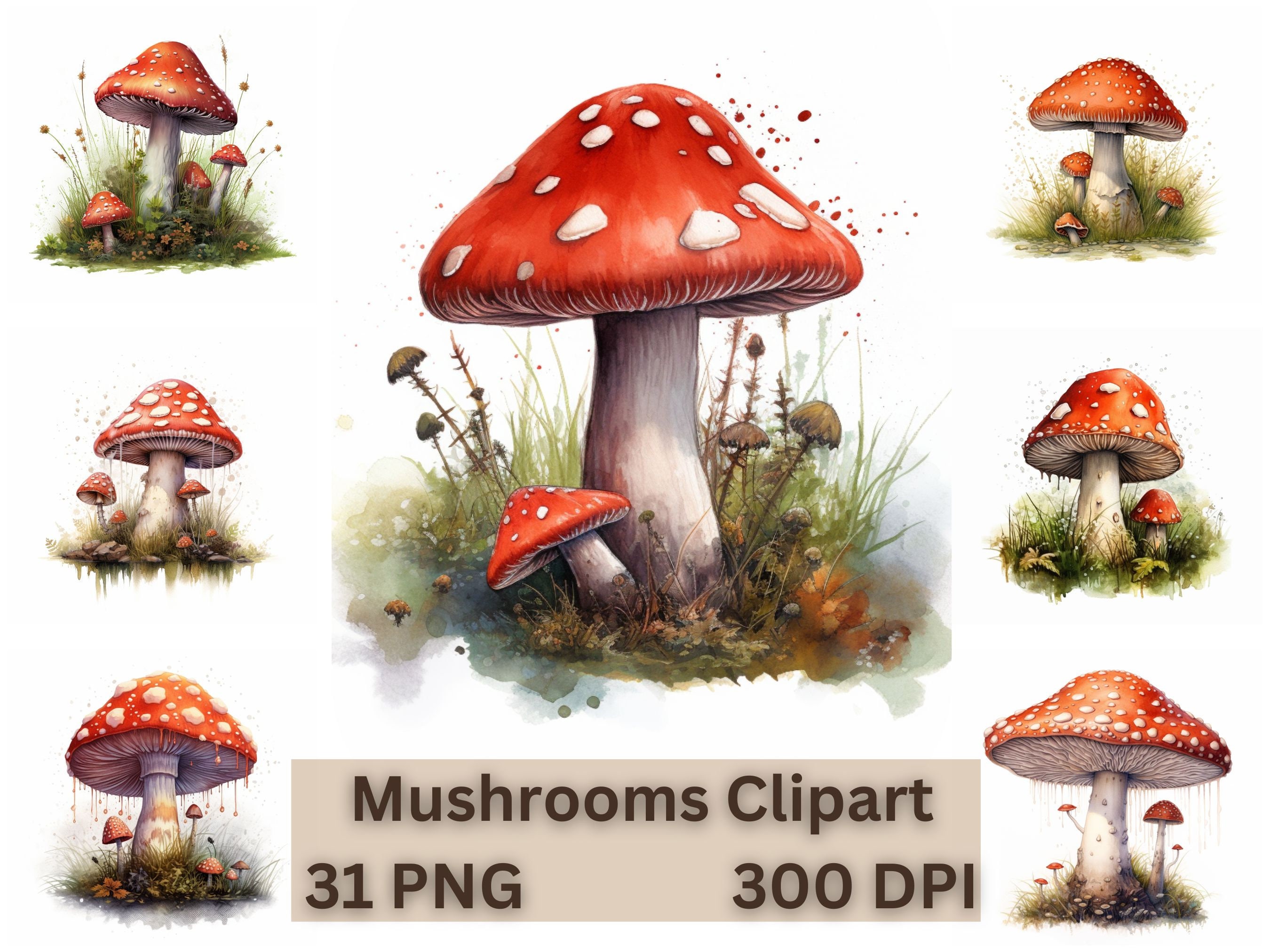 Watercolor Mushrooms Clipart, 31 High Quality Pngs, Forest Clipart ...
